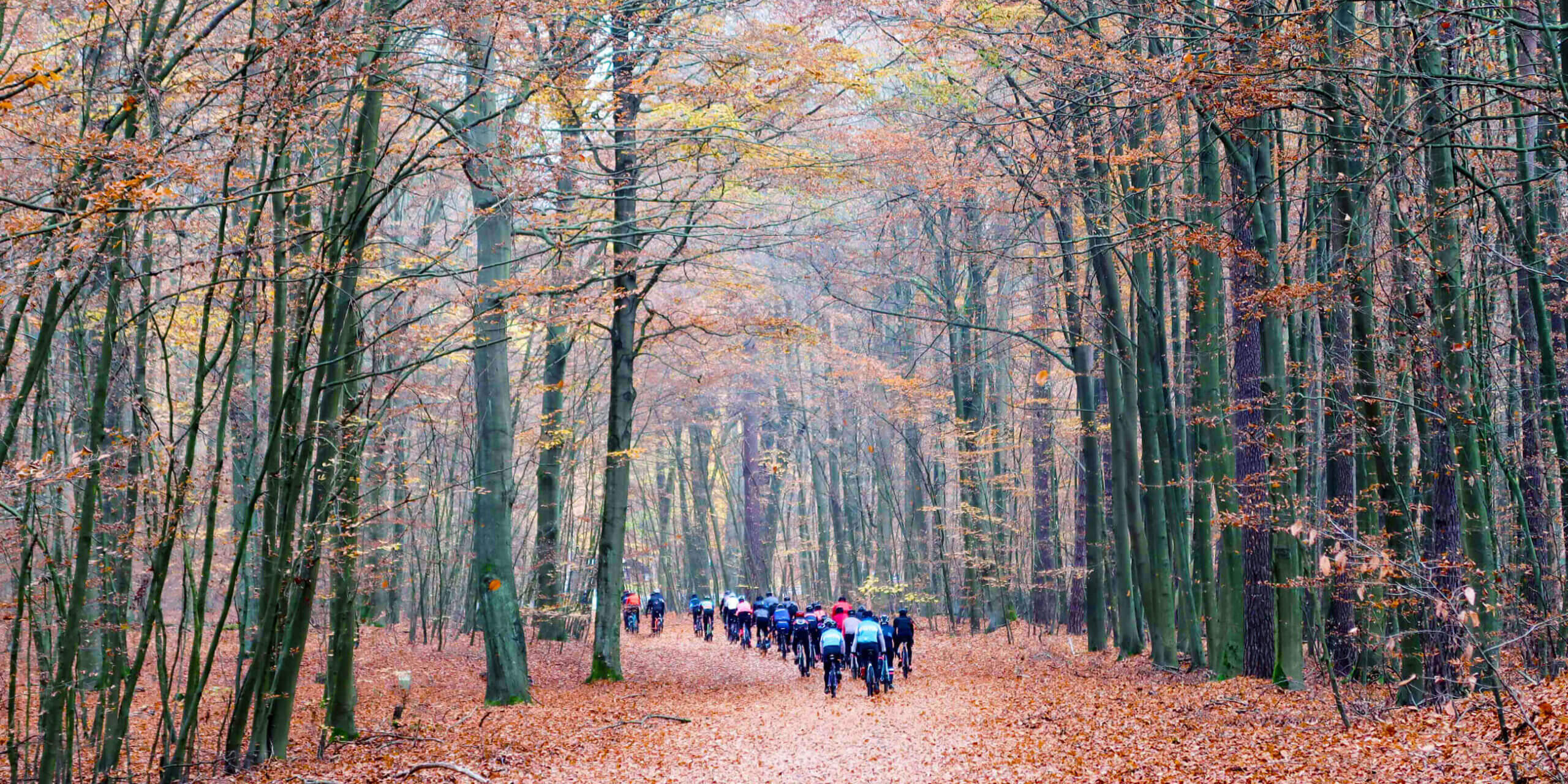 Campfire Chats with Chris and Henrik – ENVE Composites USA