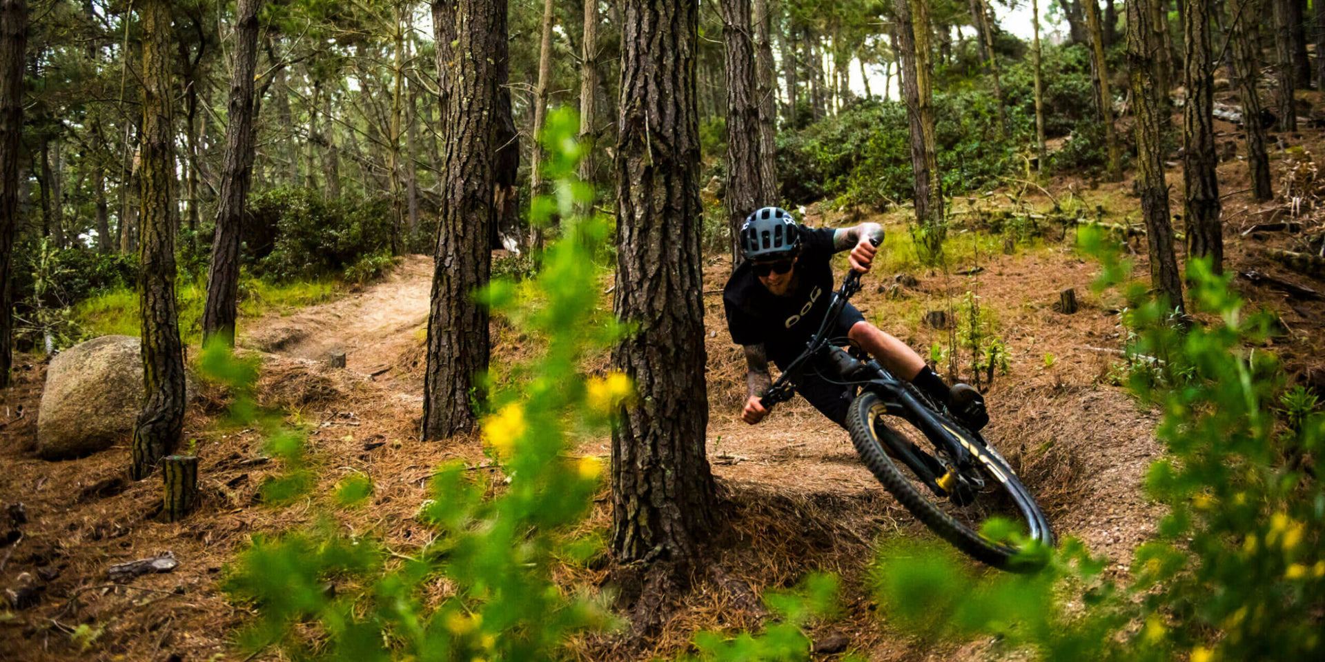 ENVE | M6 Bar 31.8mm – ENVE Composites USA